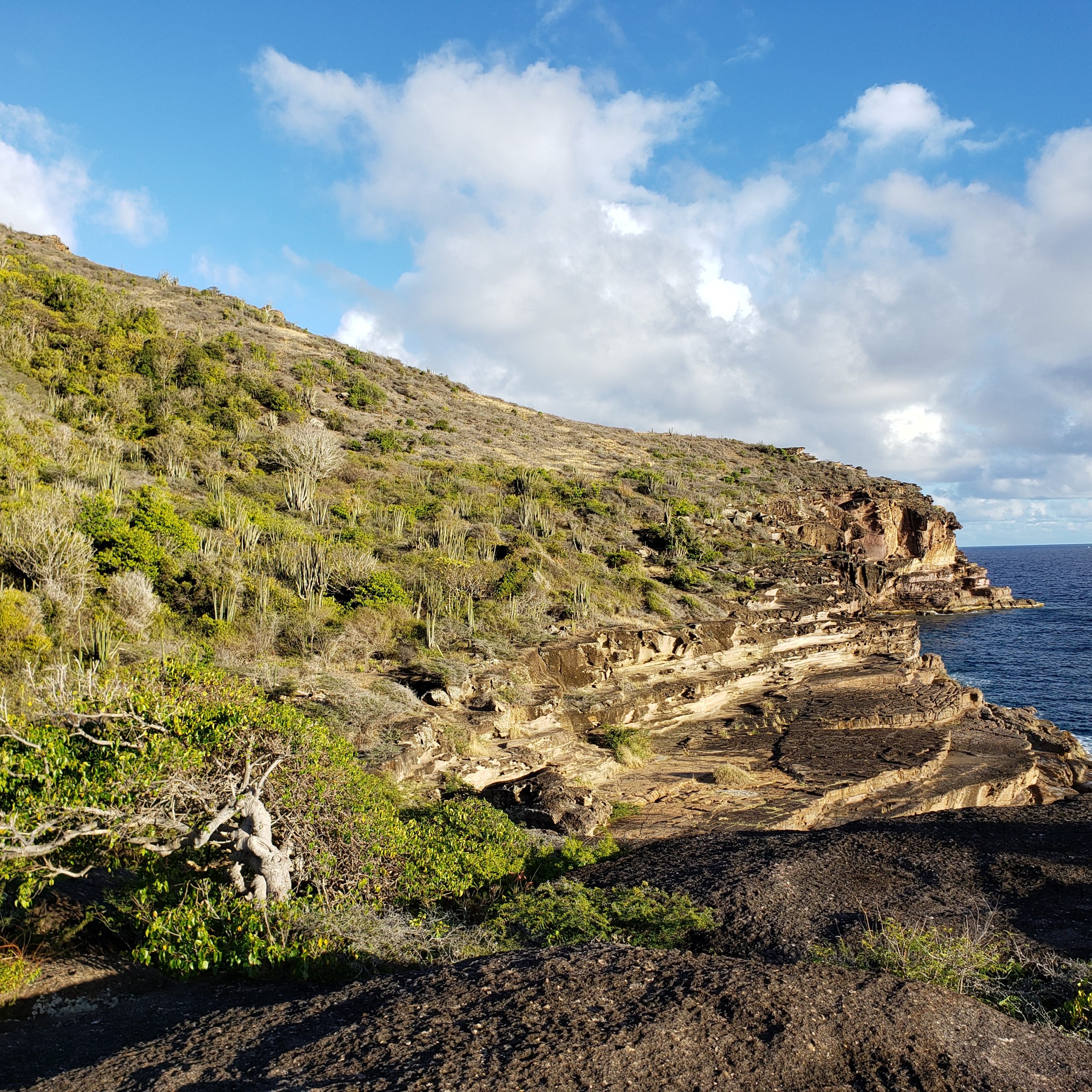 Carpenter Trail Hiking Tour! - my Caribbean Explorer