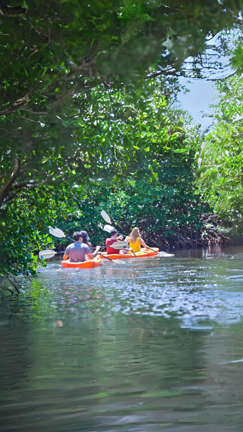 Antigua Rainforest (Combo Tour – Zipline & Kayak) - my Caribbean Explorer