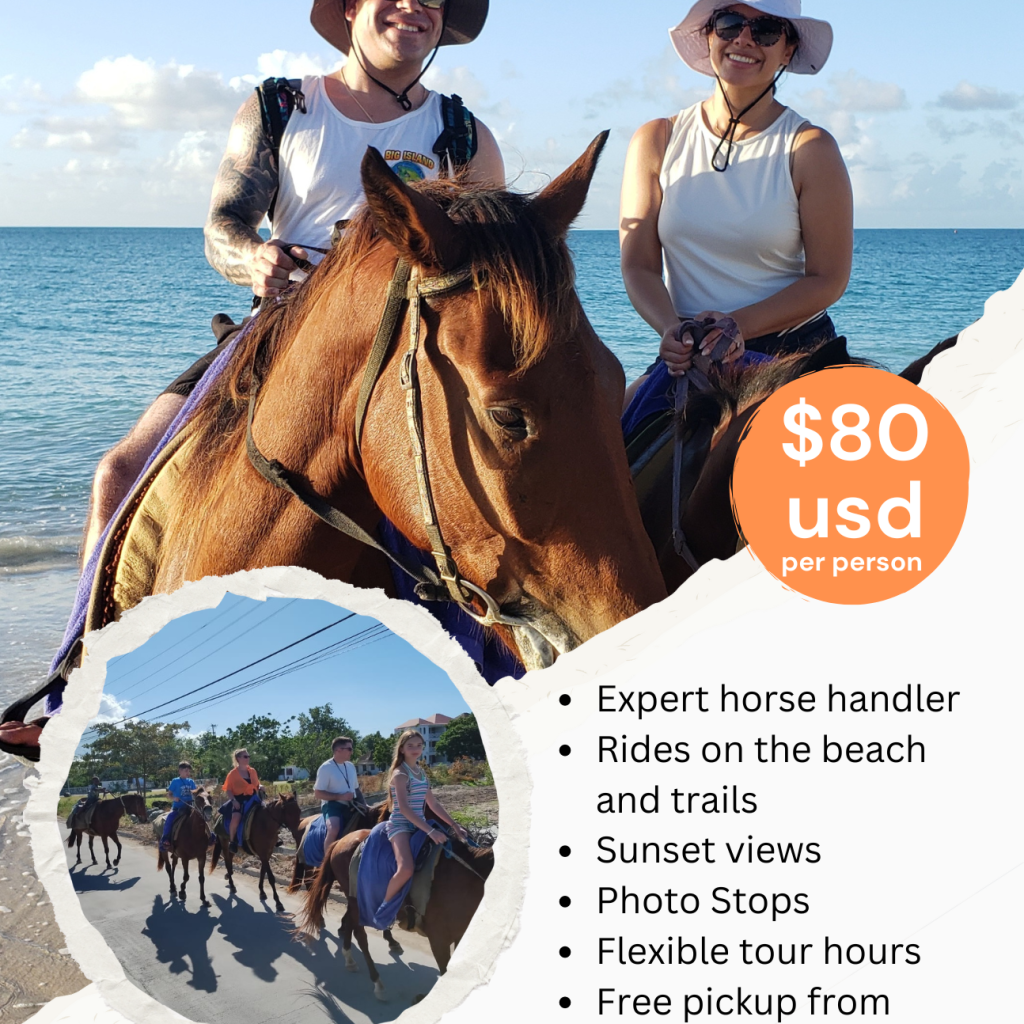 Horseback Riding Tour - my Caribbean Explorer